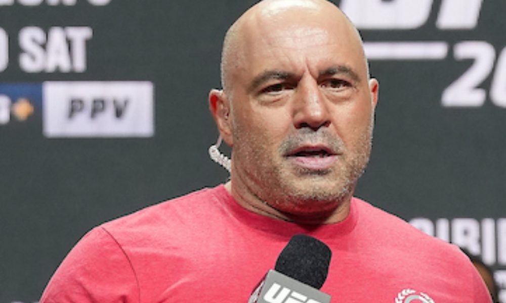 Joe Rogan quedó impresionado con nocaut en Karate Combat